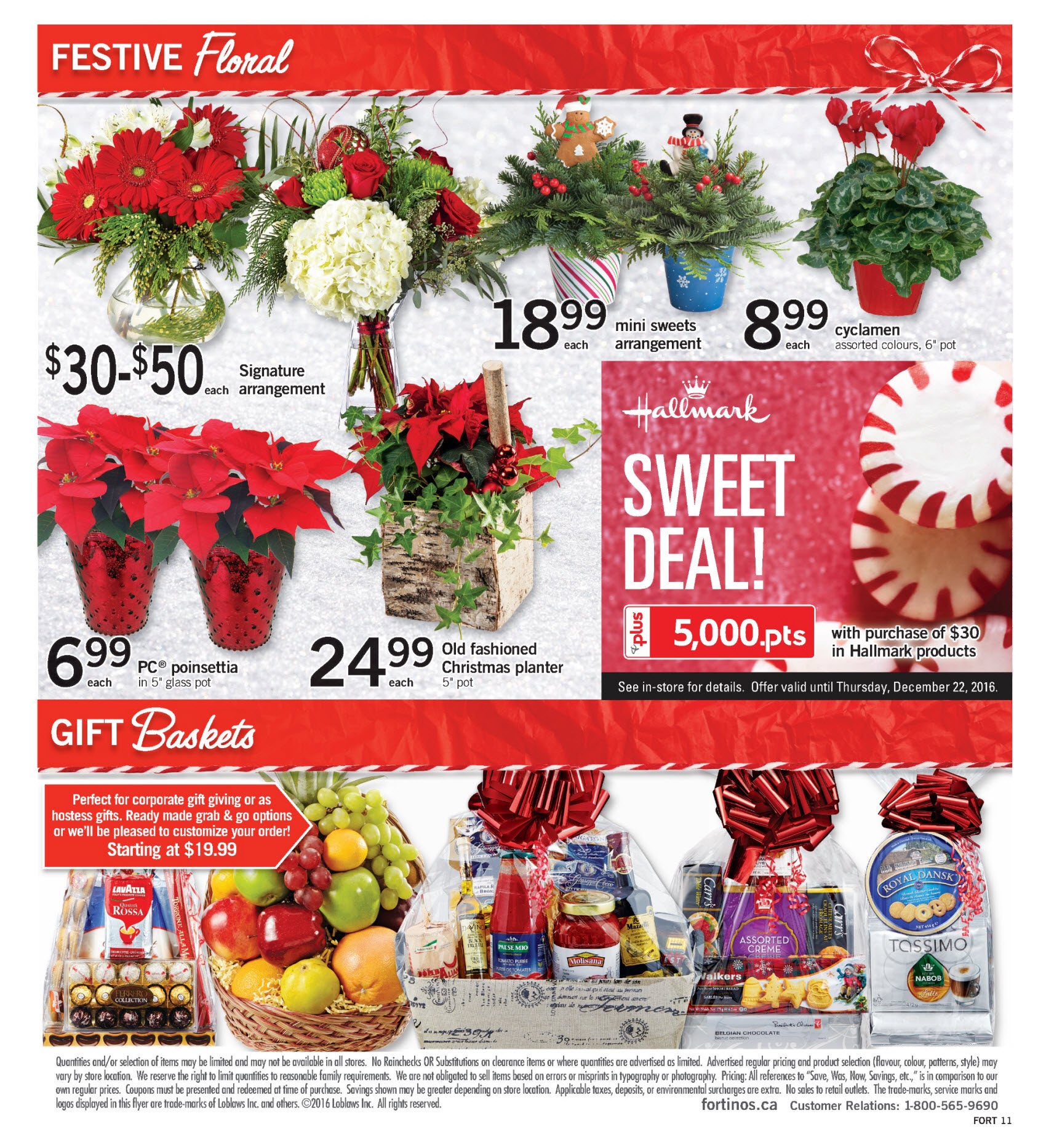 Fortinos Flowers Maple | Best Flower Site