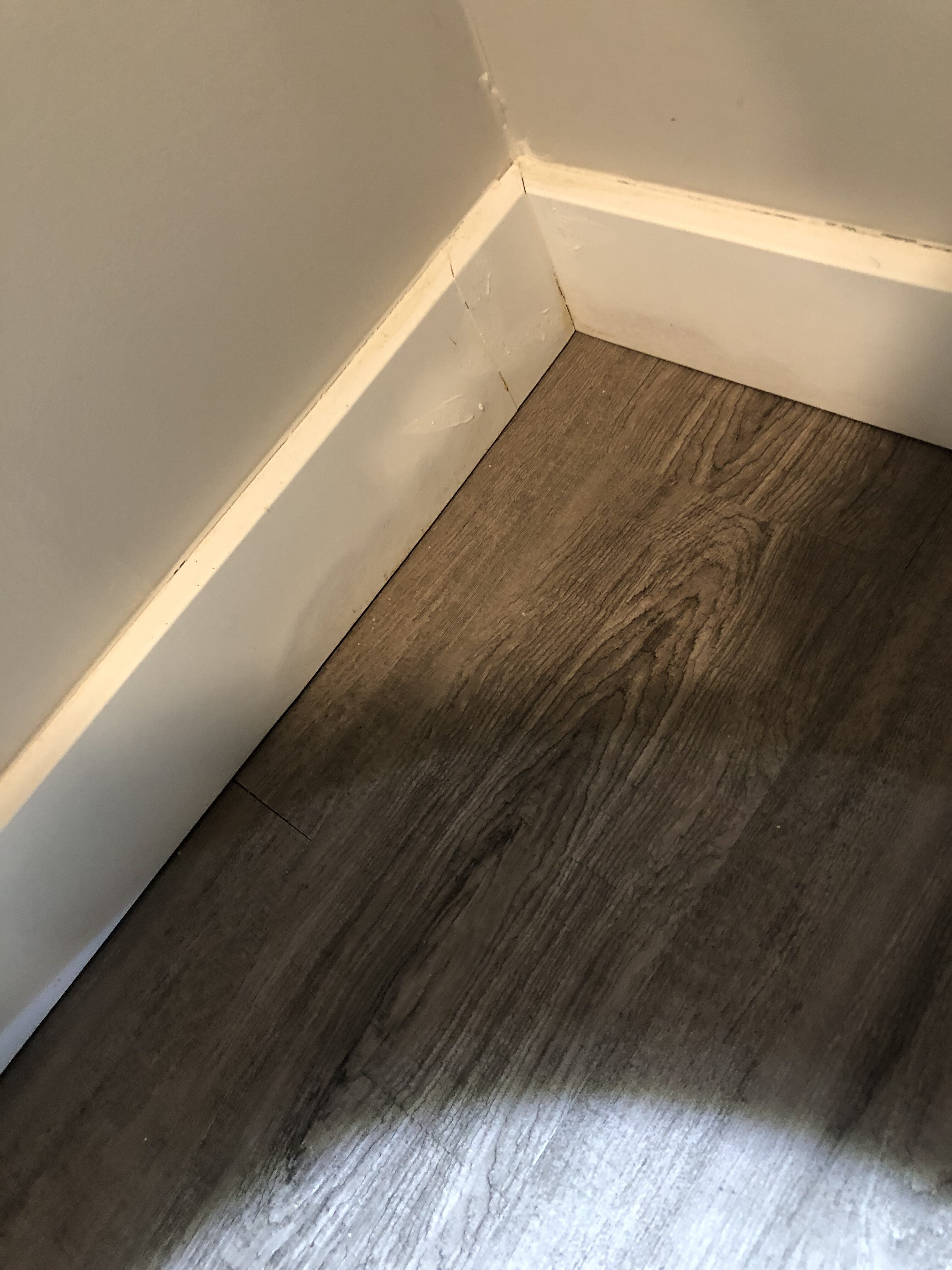 Baseboard water damage? - RedFlagDeals.com Forums