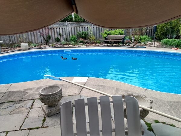 OFFICIAL Swimming Pool Maintenance Discussion Thread - Page 104 ...