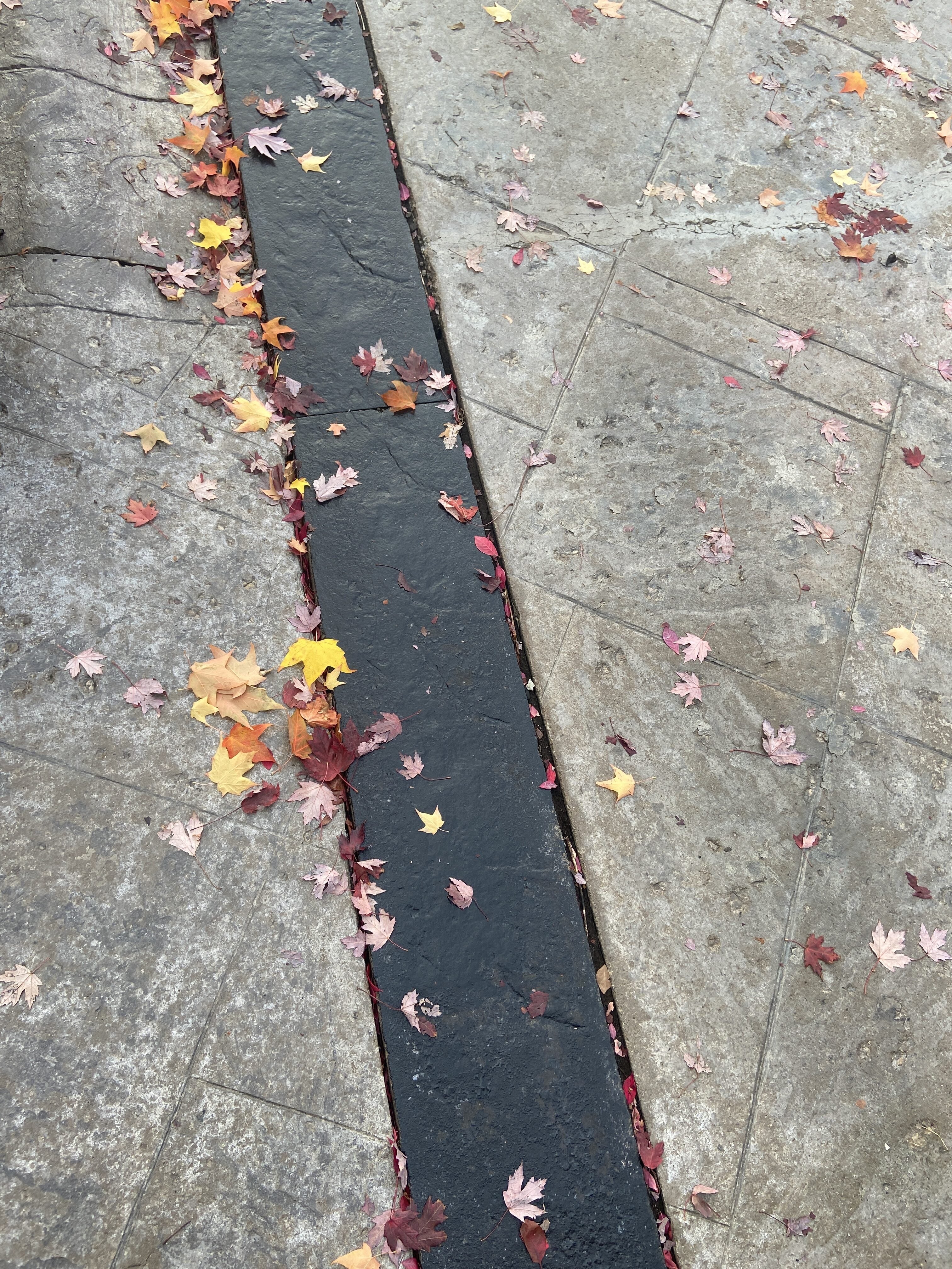 Slippery driveway - RedFlagDeals.com Forums