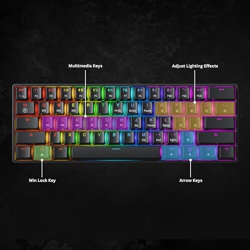[Amazon.ca] [HOT] HK Gaming GK61 Mechanical Gaming Keyboard - 61 Keys ...