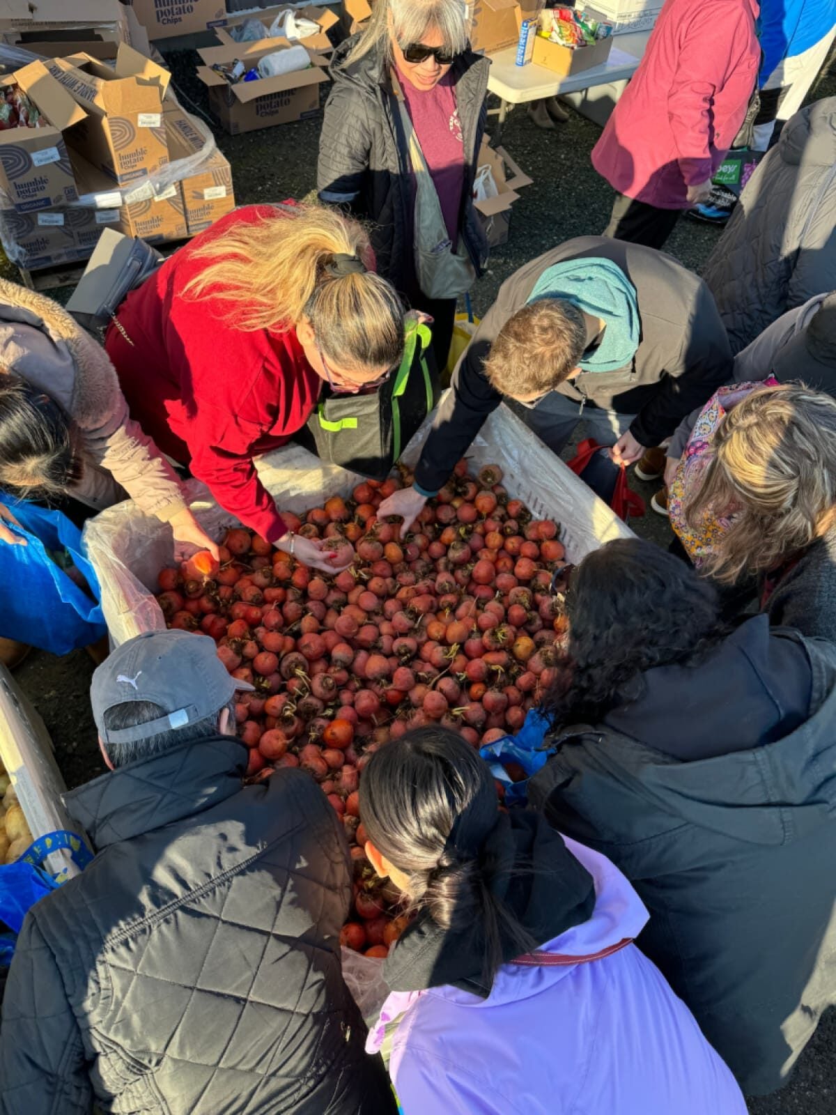 [Heppell Farms] Ugly Potato Day 2025 (Aug 9th 10am-4pm): Giveaway of ...