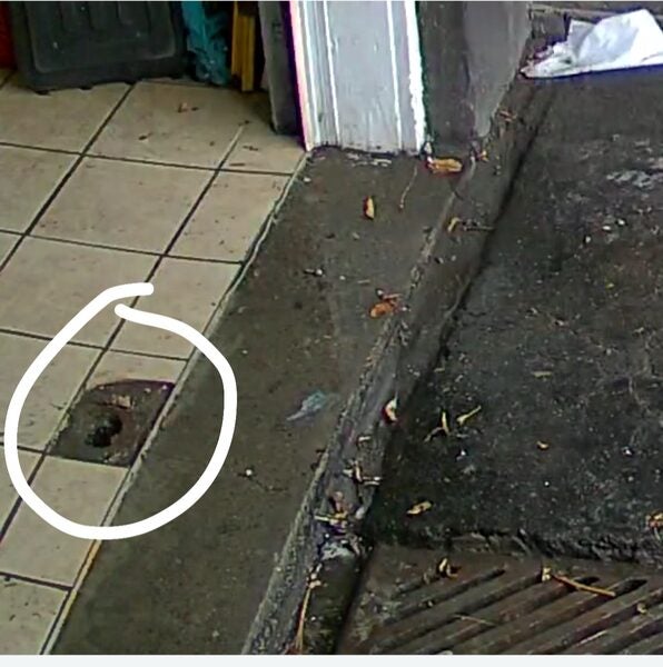 Weird drain inside garage - RedFlagDeals.com Forums