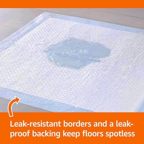 [Amazon.ca] [Big Spring Sale] Amazon Basics Dog and Puppy Pads 22x22 ...